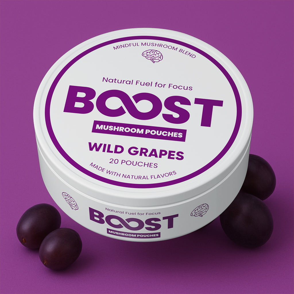 Boost Pouches | Boost Your Day