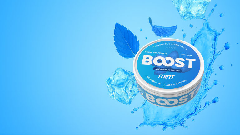 Boost Pouches | Boost Your Day