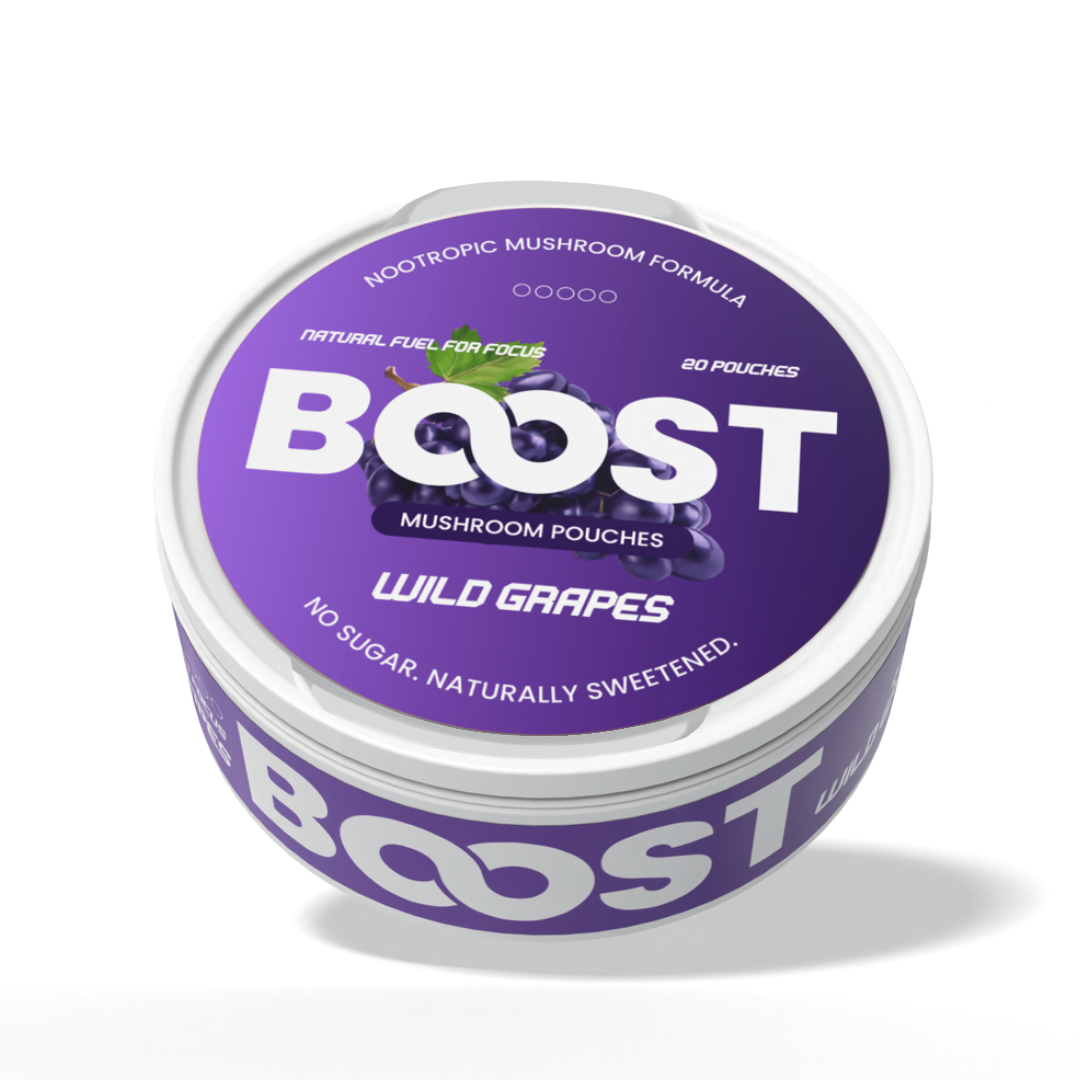 Boost Pouches | Boost Your Day